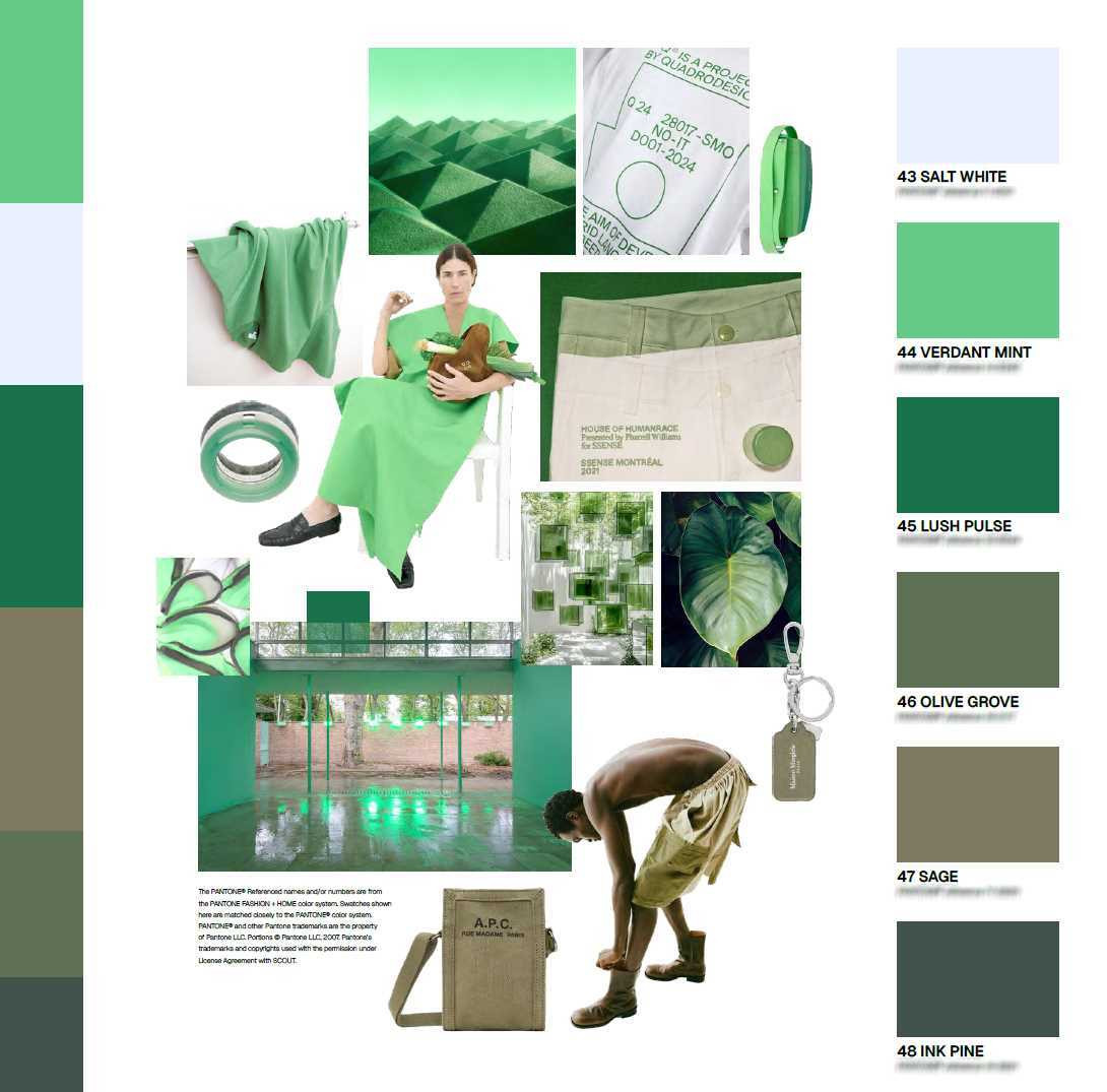 Appletizer - Scout Casual + Youth + Kids SS 2027