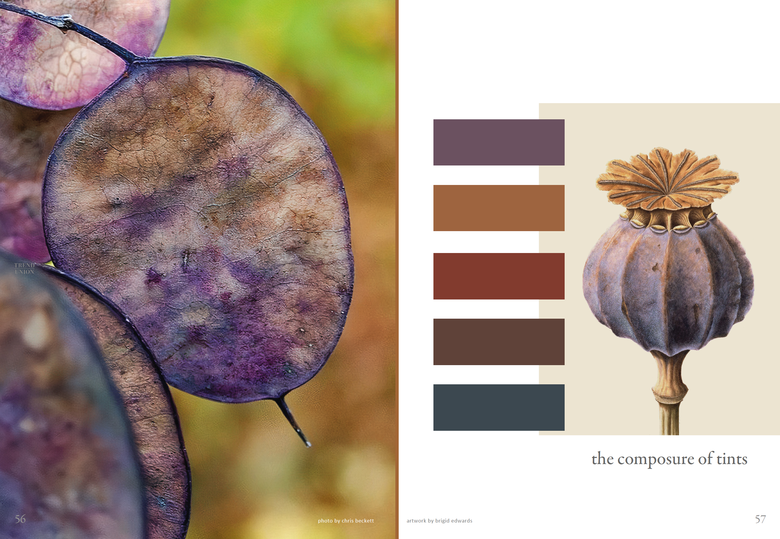 Appletizer - Trend Union Colours SS 2026| ANALOGY OF FLOWERS