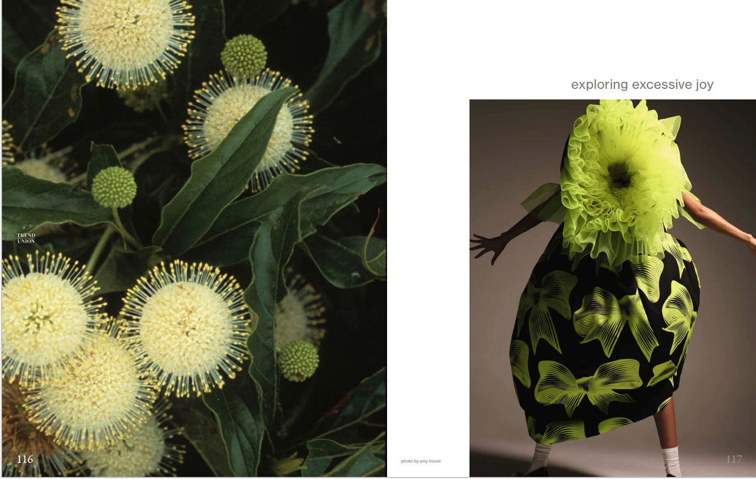 Appletizer - Trend Union General Trends SS 2026 TENDANCES | Lidewij ...