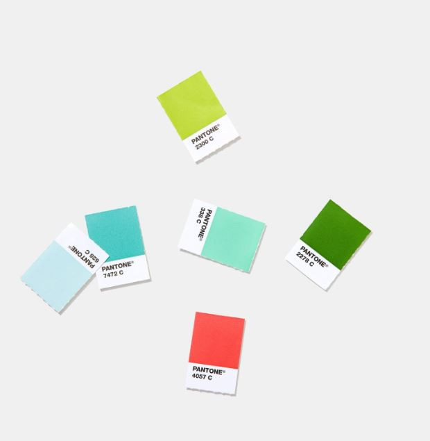 Appletizer - Pantone® PLUS Solid Chips | Coated & Uncoated | Incl. 294 ...